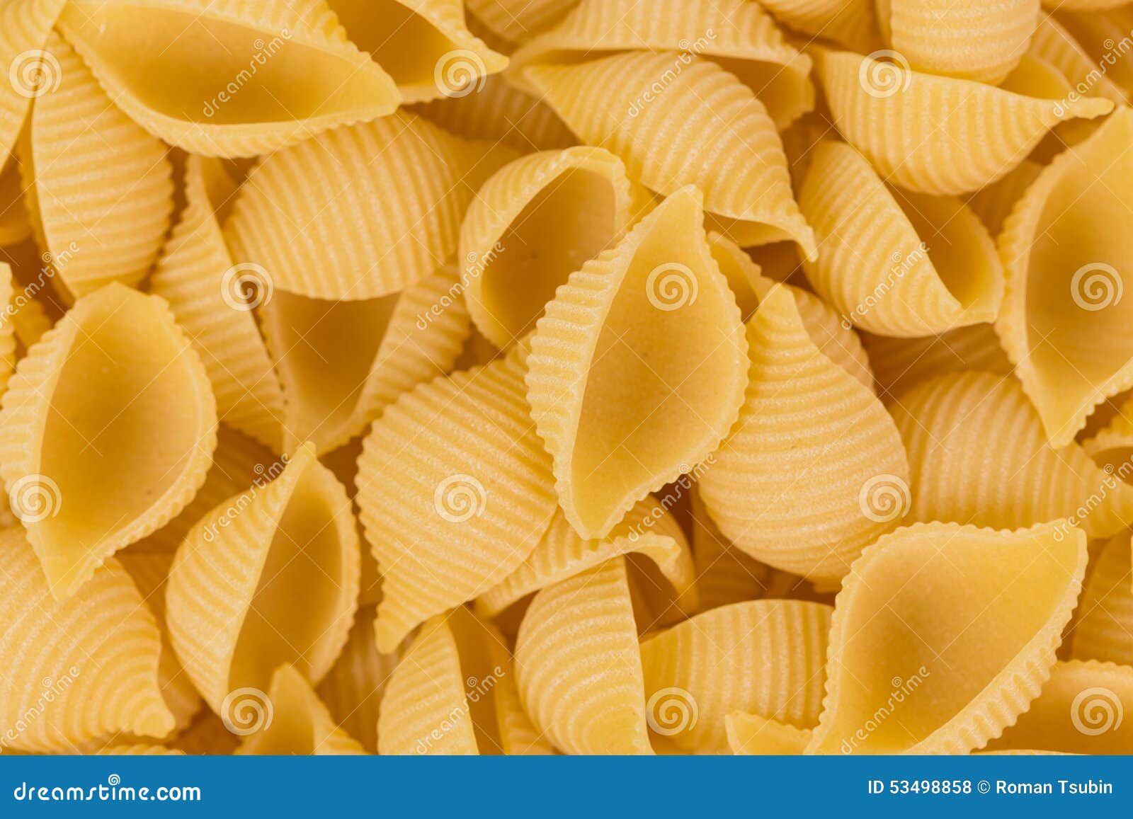Conchiglie pasta shell stock photo. Image of italy, macaroni - 53498858