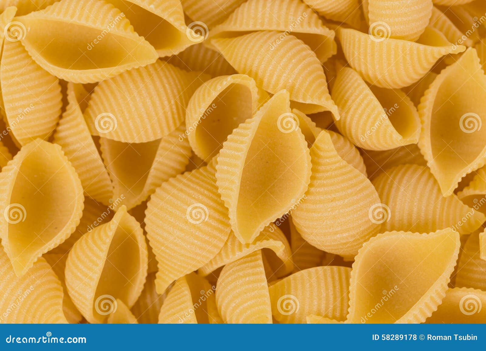 Conchiglie pasta shell stock photo. Image of pasta, uncooked - 58289178