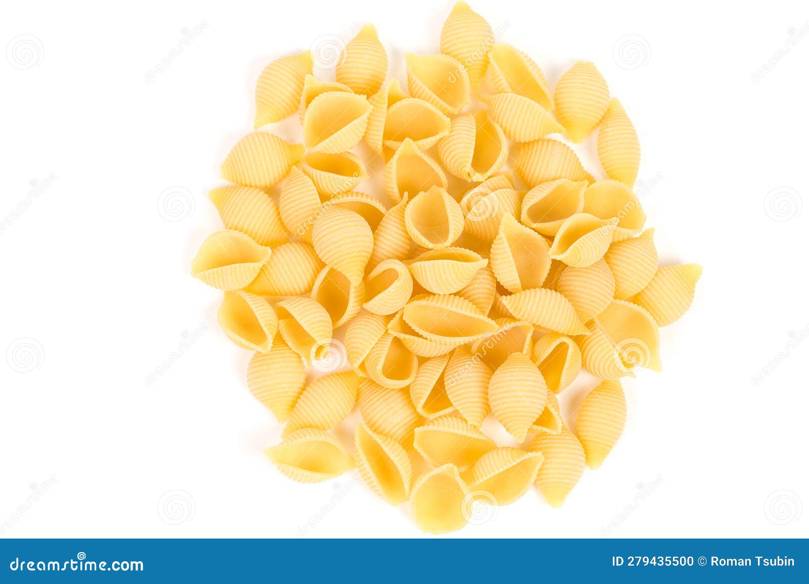 Conchiglie pasta shell stock photo. Image of white, spaghetti - 279435500