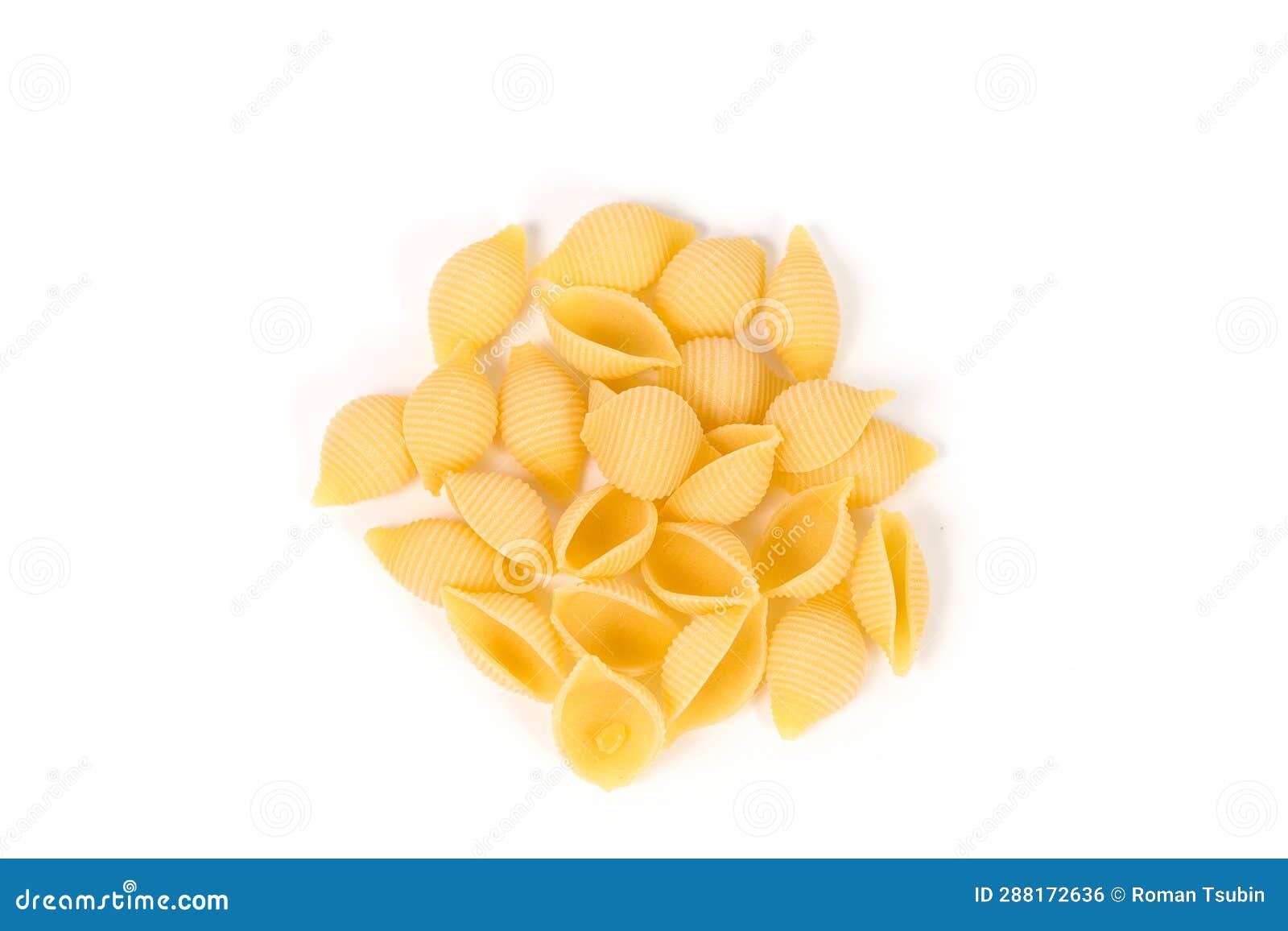 Conchiglie pasta shell stock photo. Image of rigate - 288172636