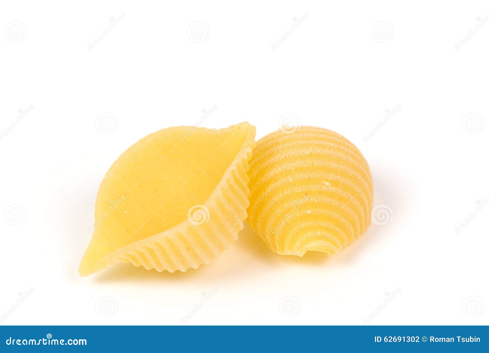Conchiglie pasta shell stock photo. Image of isolated - 62691302