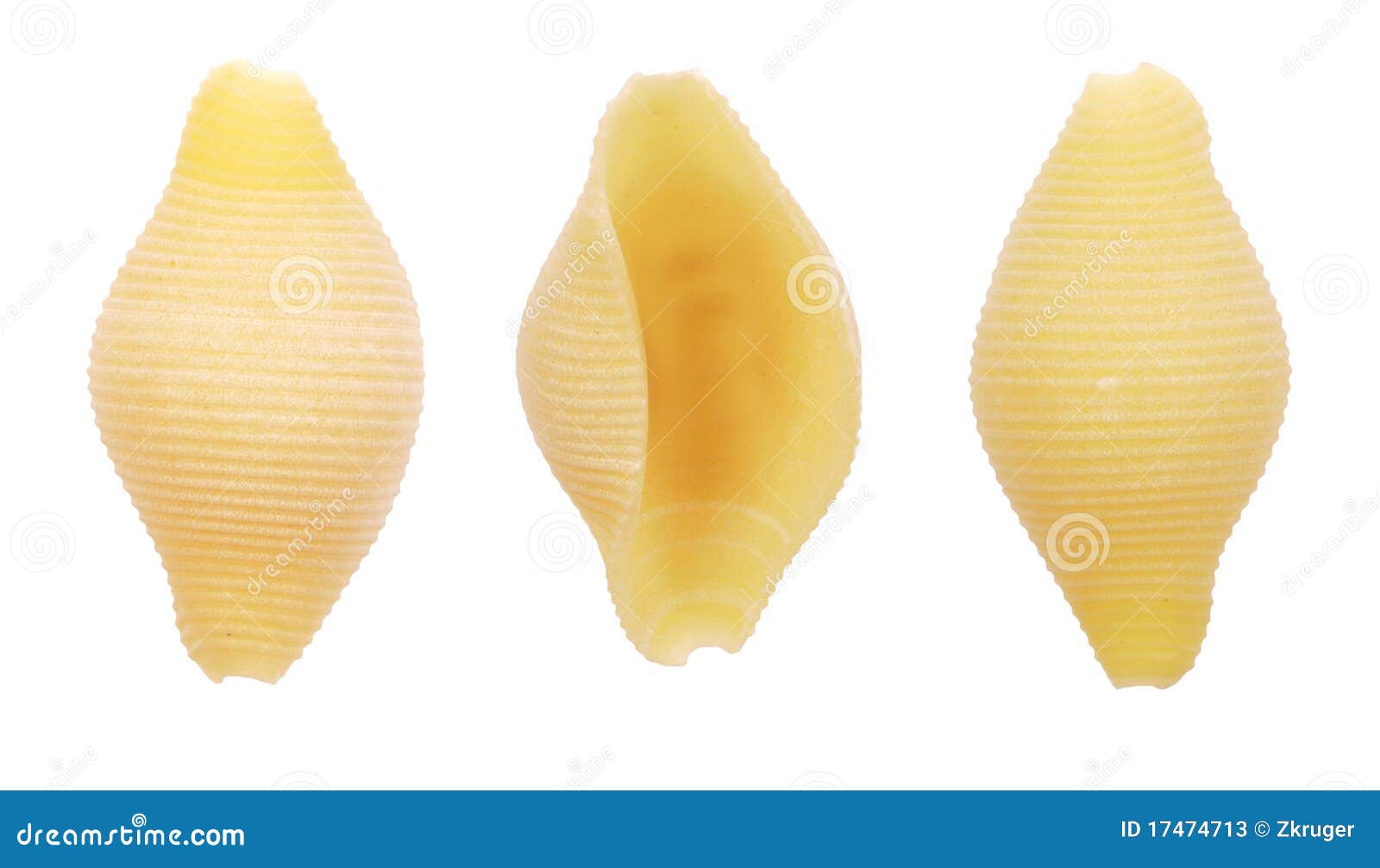 Conchiglie pasta shells stock image. Image of color, starch - 17474713