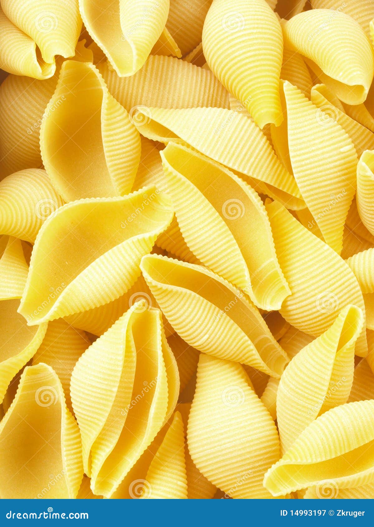 Conchiglioni pasta shells stock image. Image of color - 14993197