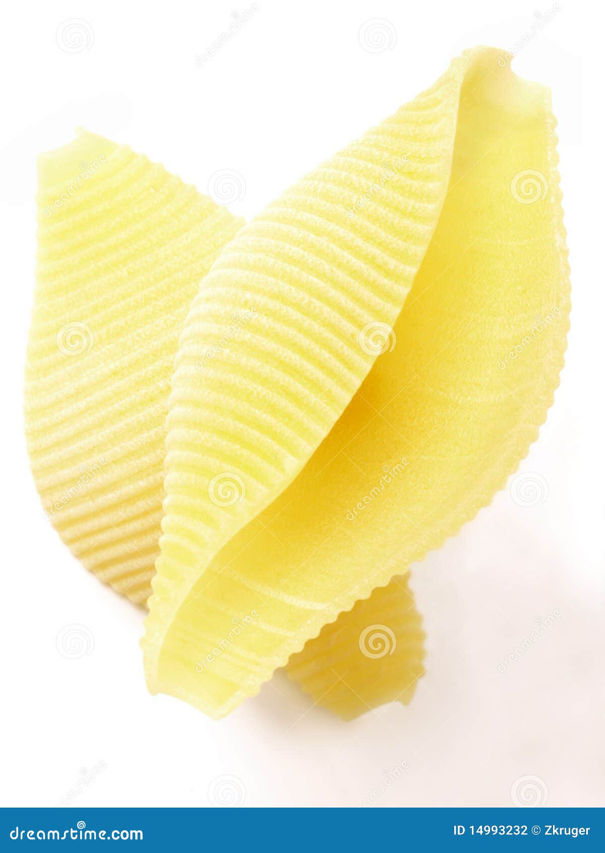 Conchiglioni pasta shells stock photo. Image of food - 14993232