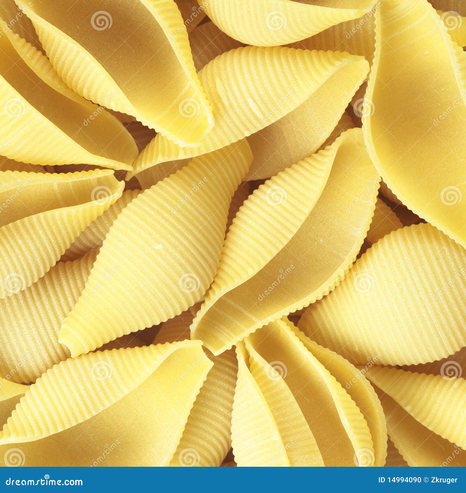 Conchiglioni pasta shells stock photo. Image of noodle - 14994090