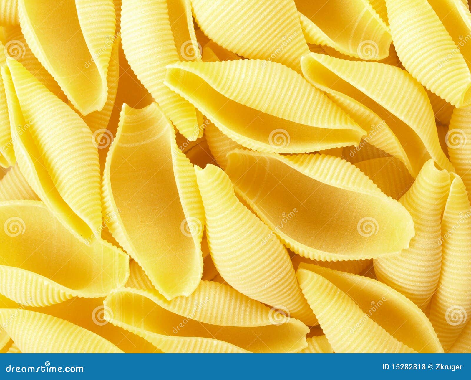 Conchiglioni pasta shells stock photo. Image of isolated - 15282818