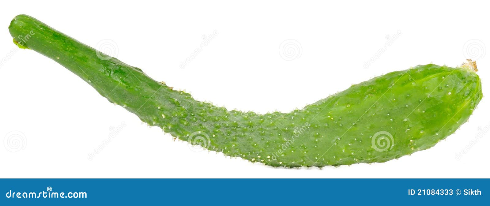 Concombre chinois image stock. Image du frais, vivacité - 21084333