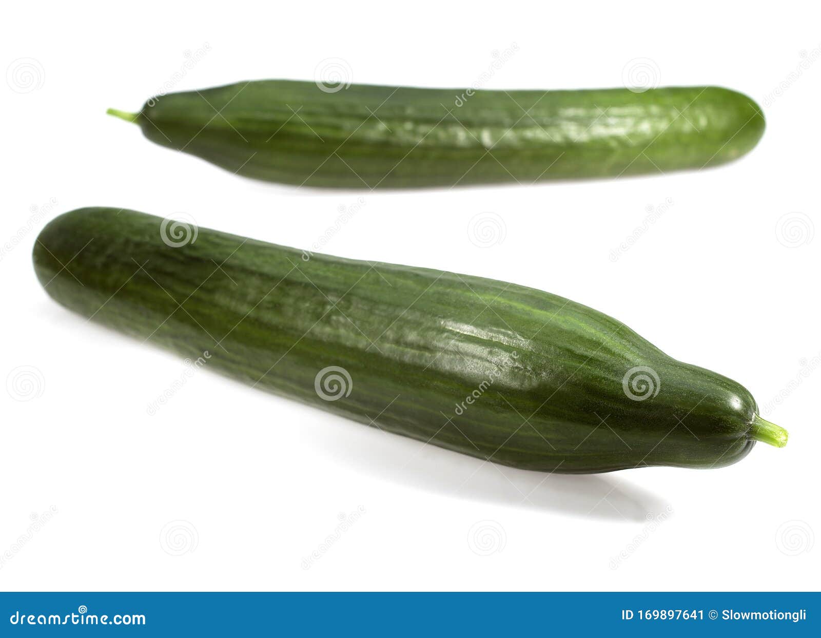 CONCOMBRE stock image. Image of sativus, food, vegetable - 169897641