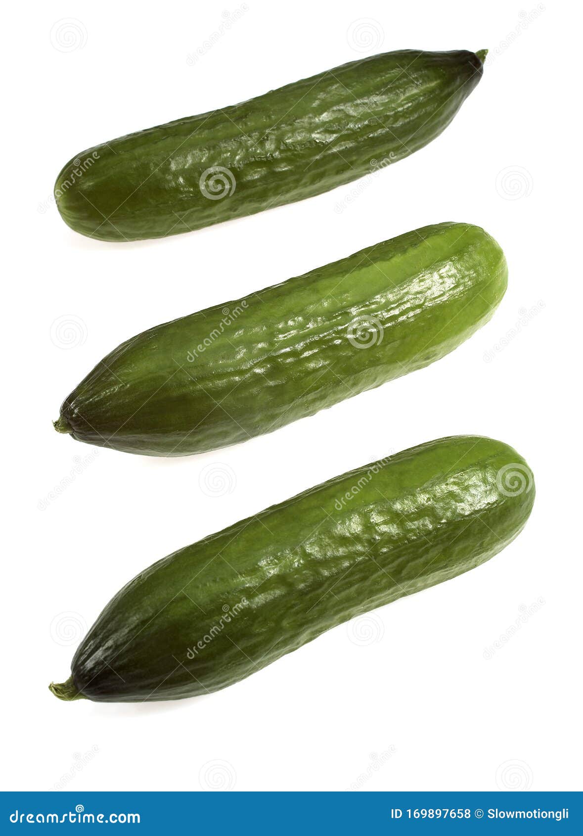 CONCOMBRE stock photo. Image of studio, botany, cucumis - 169897658