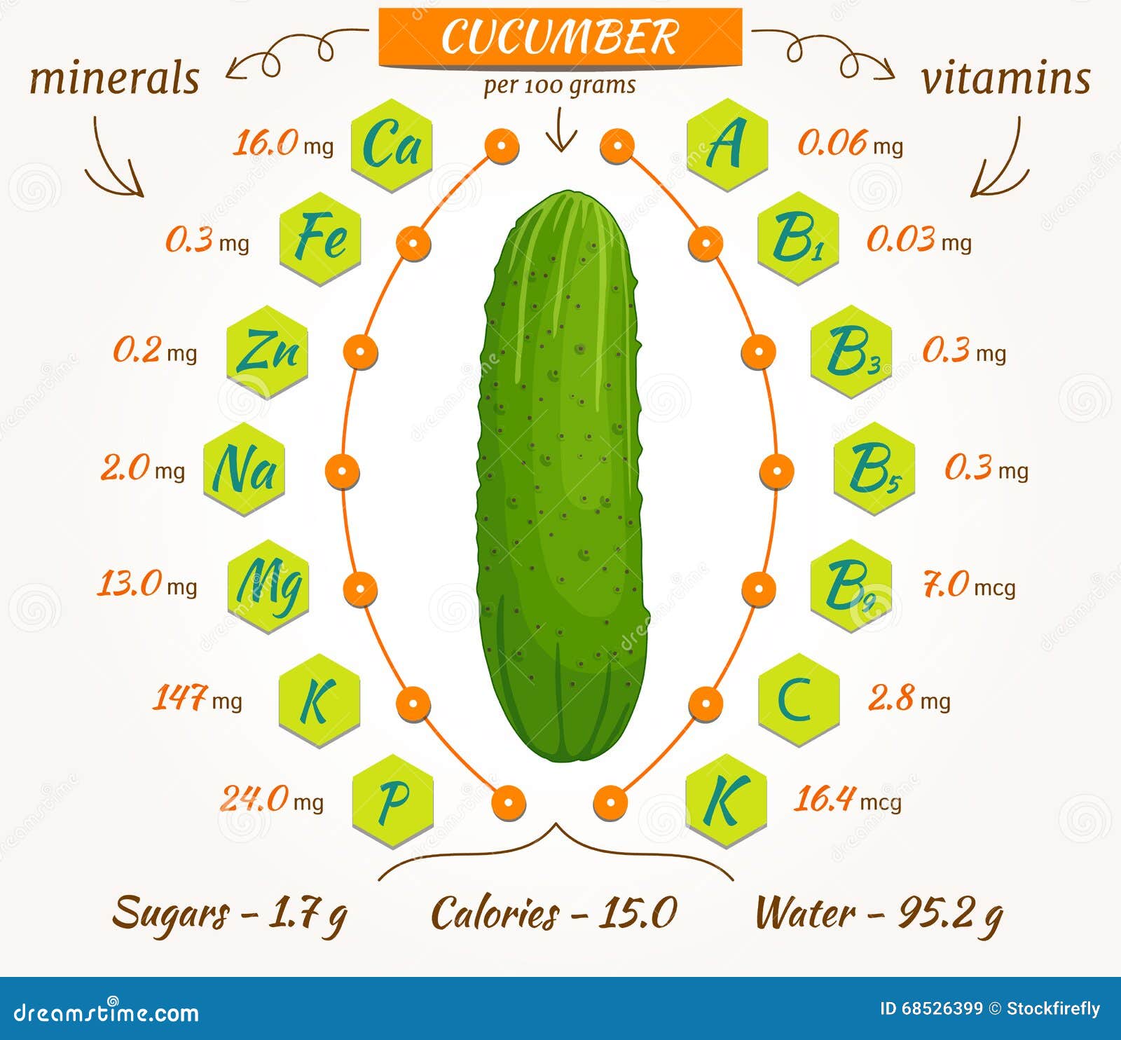 Concombre D'infographics De Vecteur Illustration de Vecteur ...