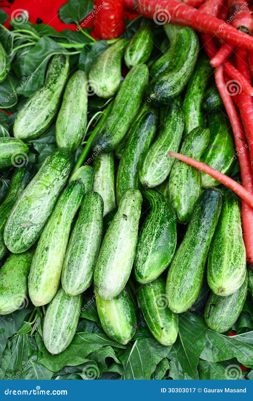 Concombre Vert Légume Indien Image stock - Image du normal, isolement ...