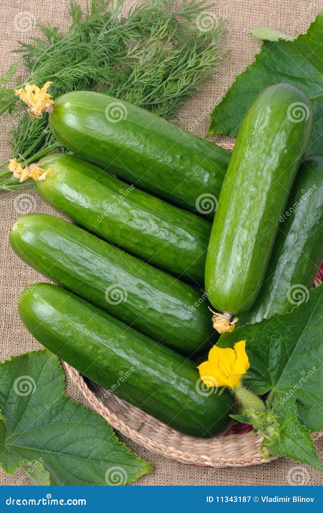 Concombres image stock. Image du lisse, fruits, panier - 11343187