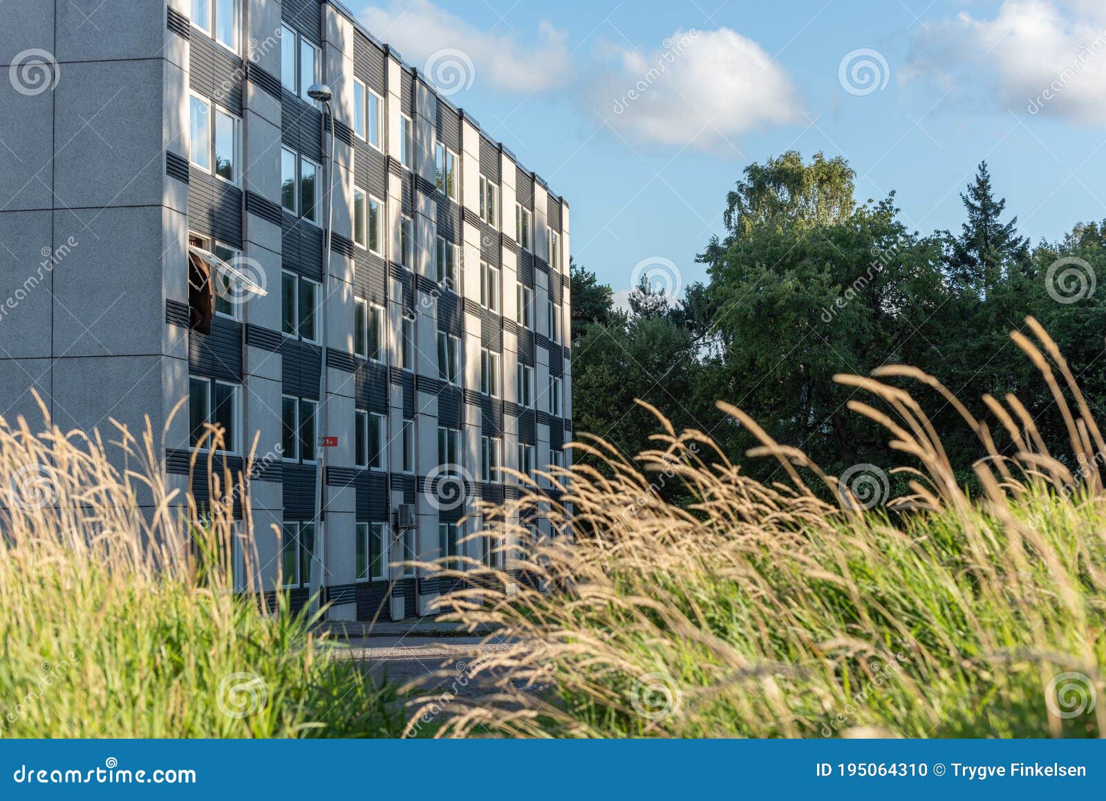 Concrete Apartment Complex by a Forest Stock Photo - Image of exterior ...