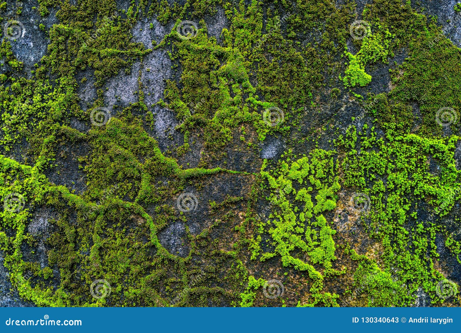 Concrete in Architecture, Wallpaper and Texture Moss Wall Stock Image ...