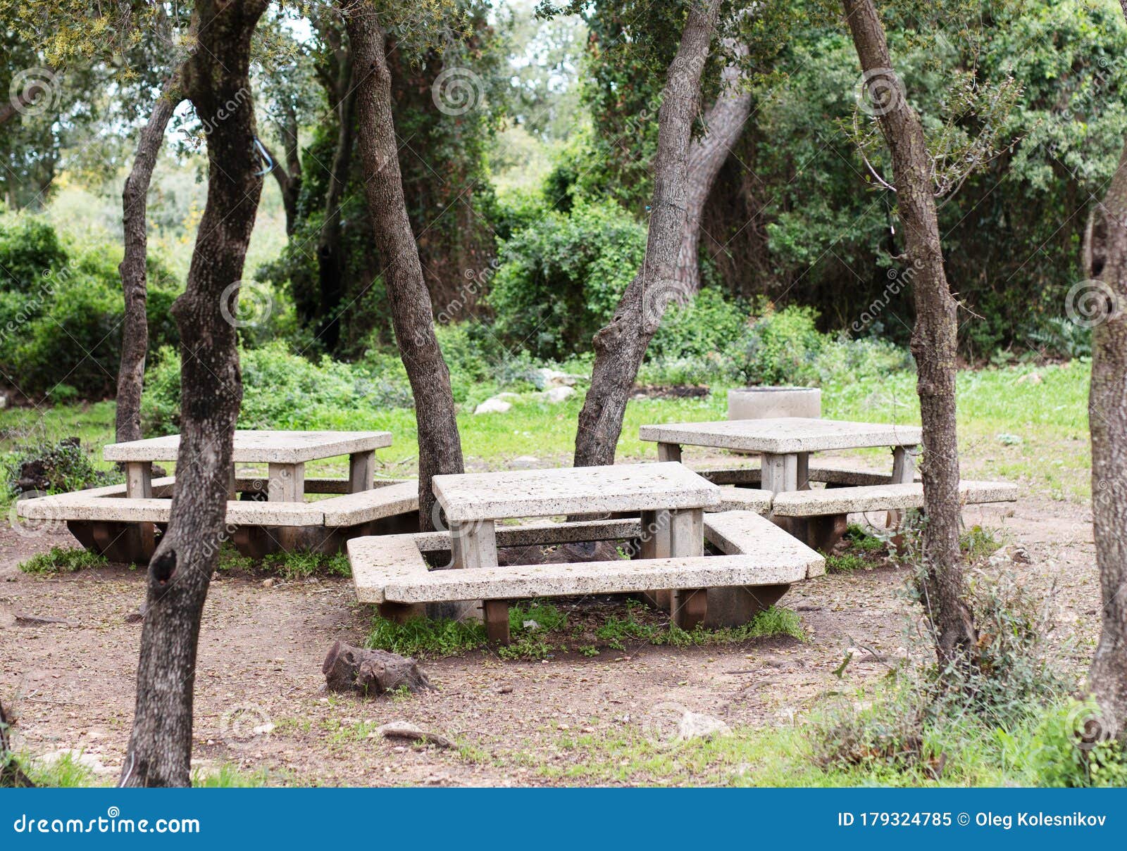 Concrete Benches and Picnic Tables in the Forest Stock Image - Image of ...