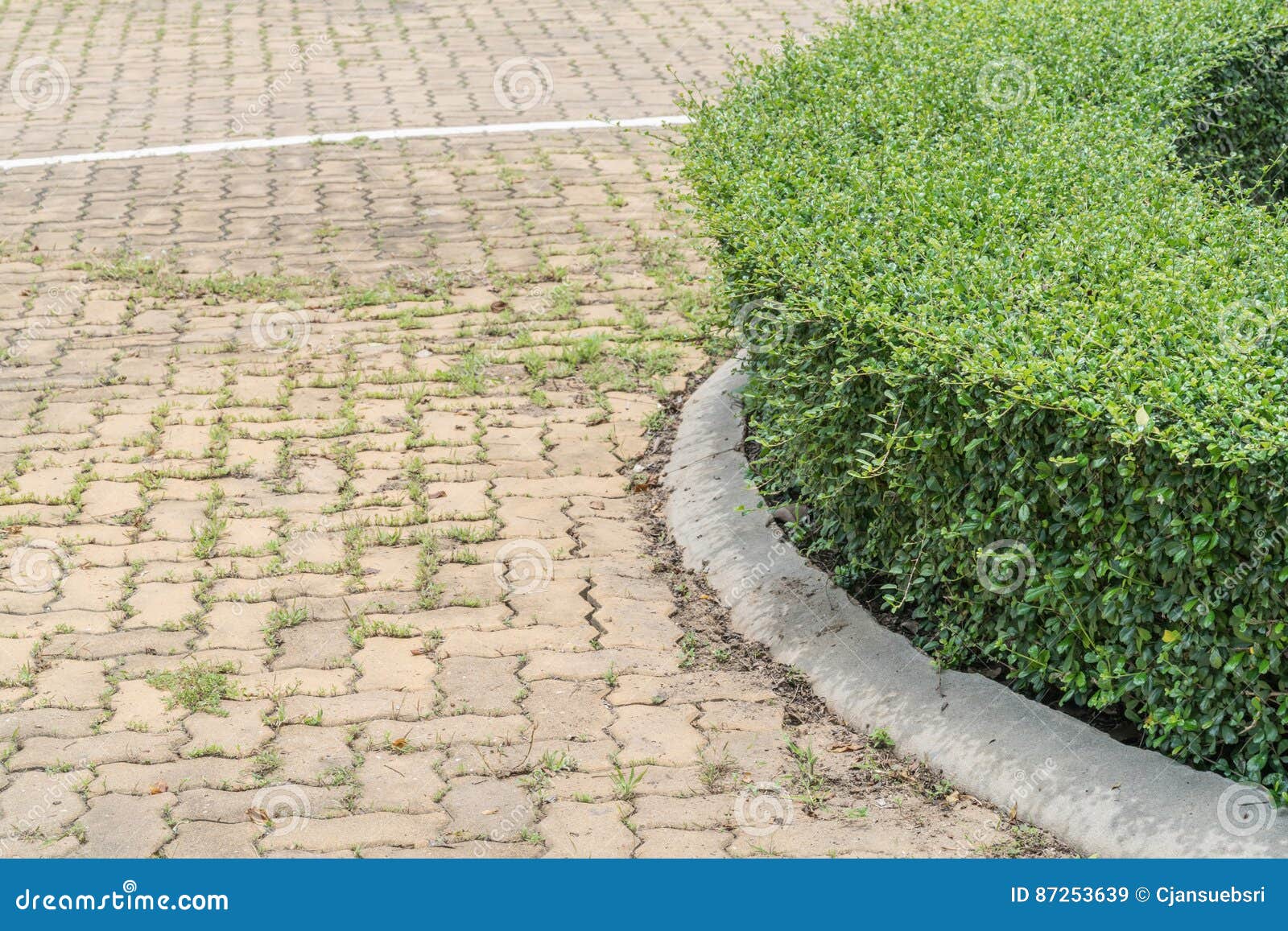 Concrete block pathway stock image. Image of pathway - 87253639