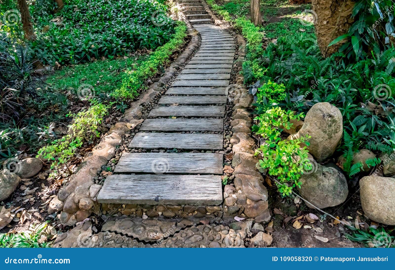 Concrete Pathway in garden stock photo. Image of walk - 109058320