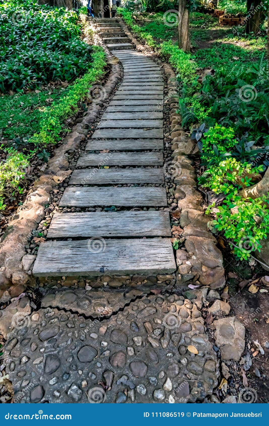 Concrete Pathway in garden stock image. Image of plant - 111086519