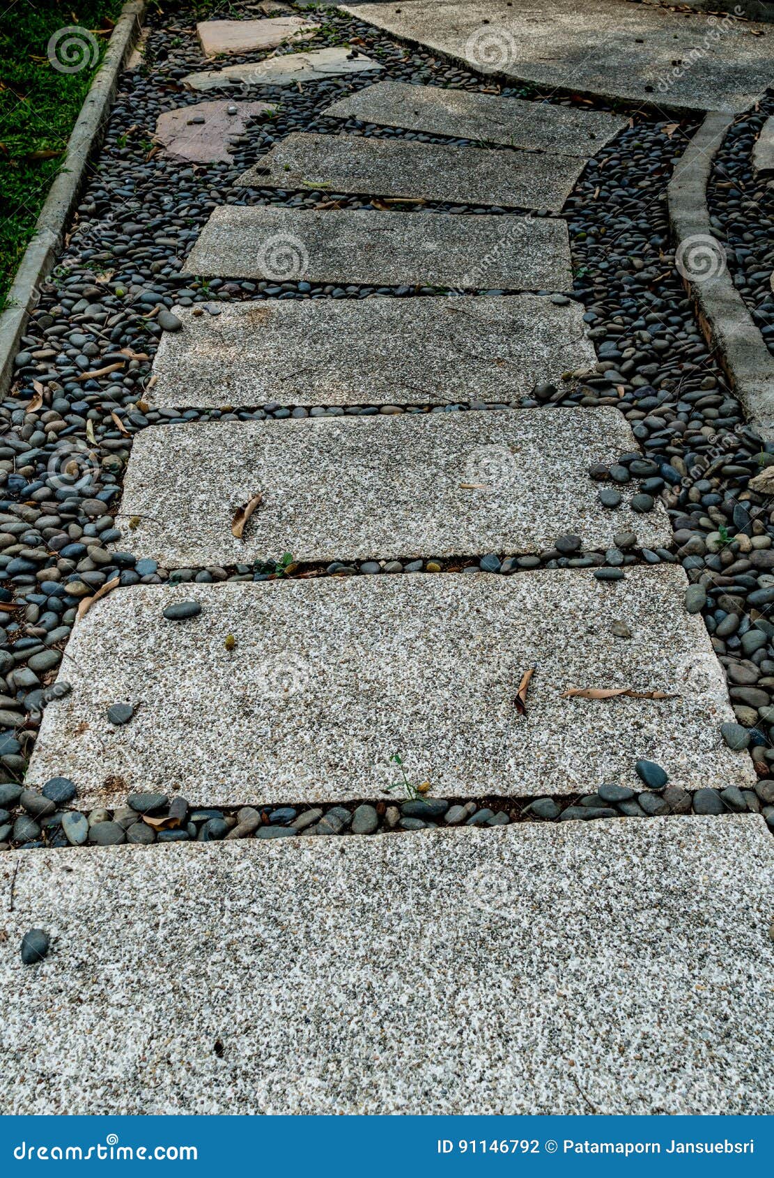 Concrete Block Pathway in Park Stock Photo - Image of wood, green: 91146792