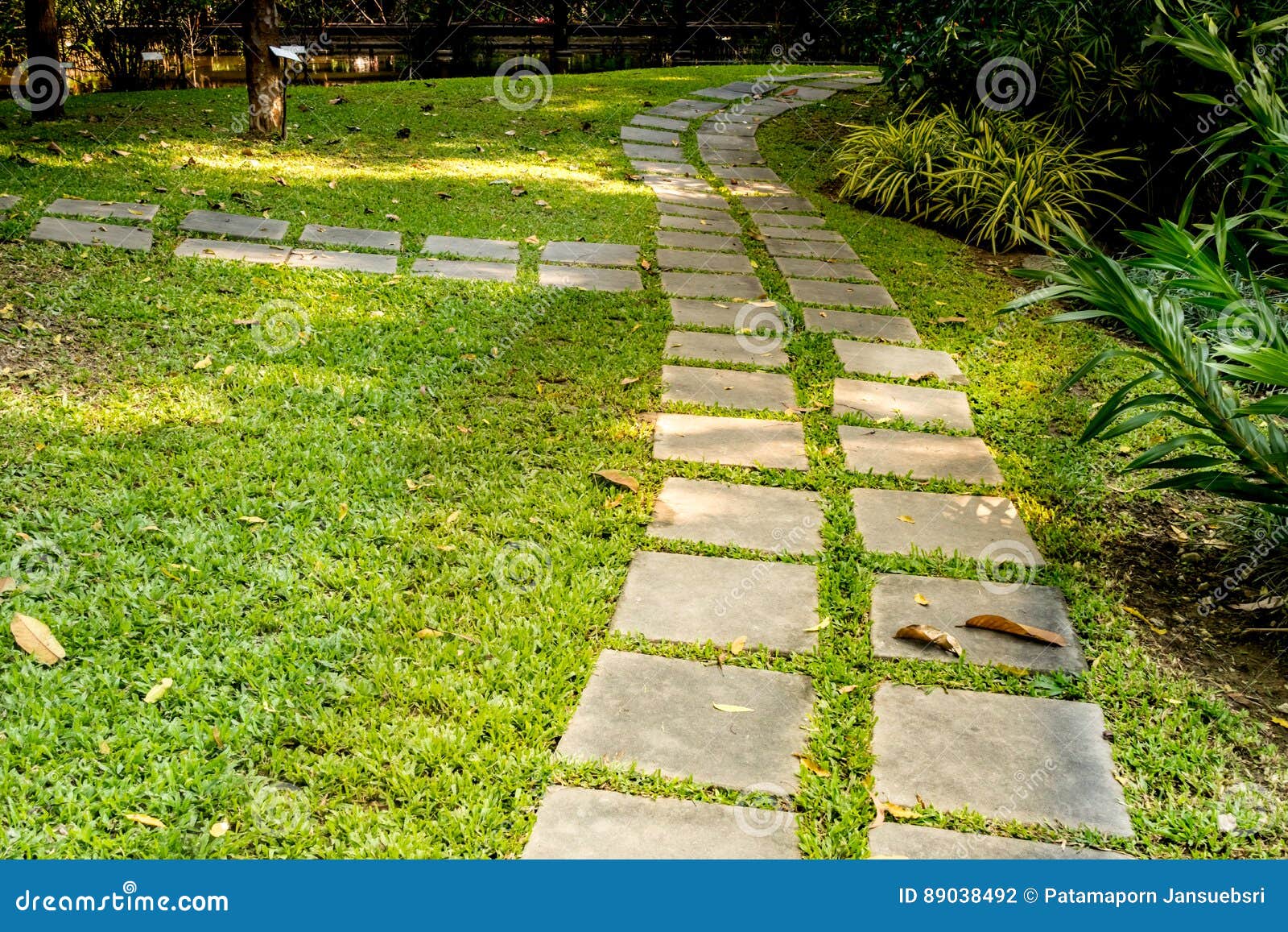 Concrete Block Pathway in Park Stock Photo - Image of nature, field ...