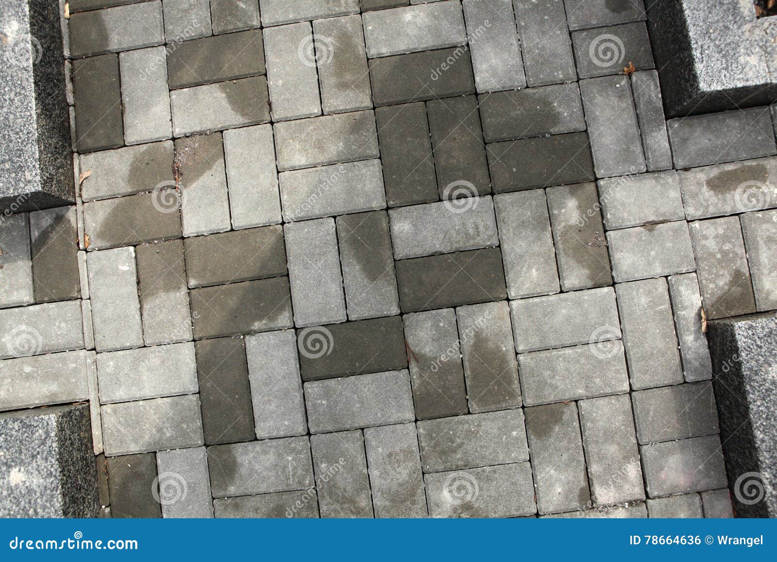 Concrete Block Pavement. Background Texture Stock Photo - Image of ...