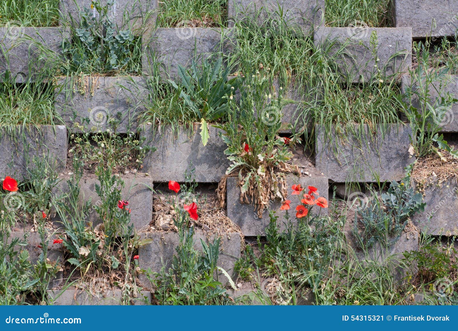Concrete Block Wall with Some Green Stock Image - Image of abstract ...