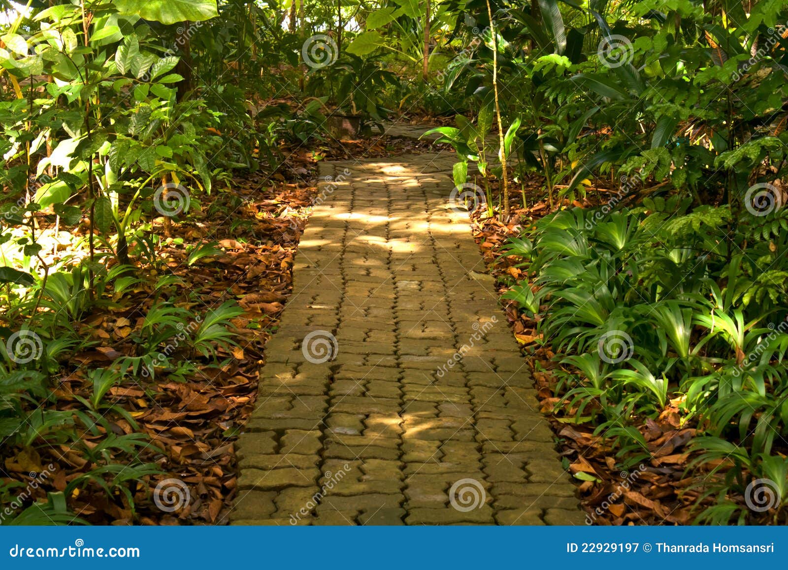 Concrete Blocks Lined the Walkway Stock Image - Image of concrete, road ...
