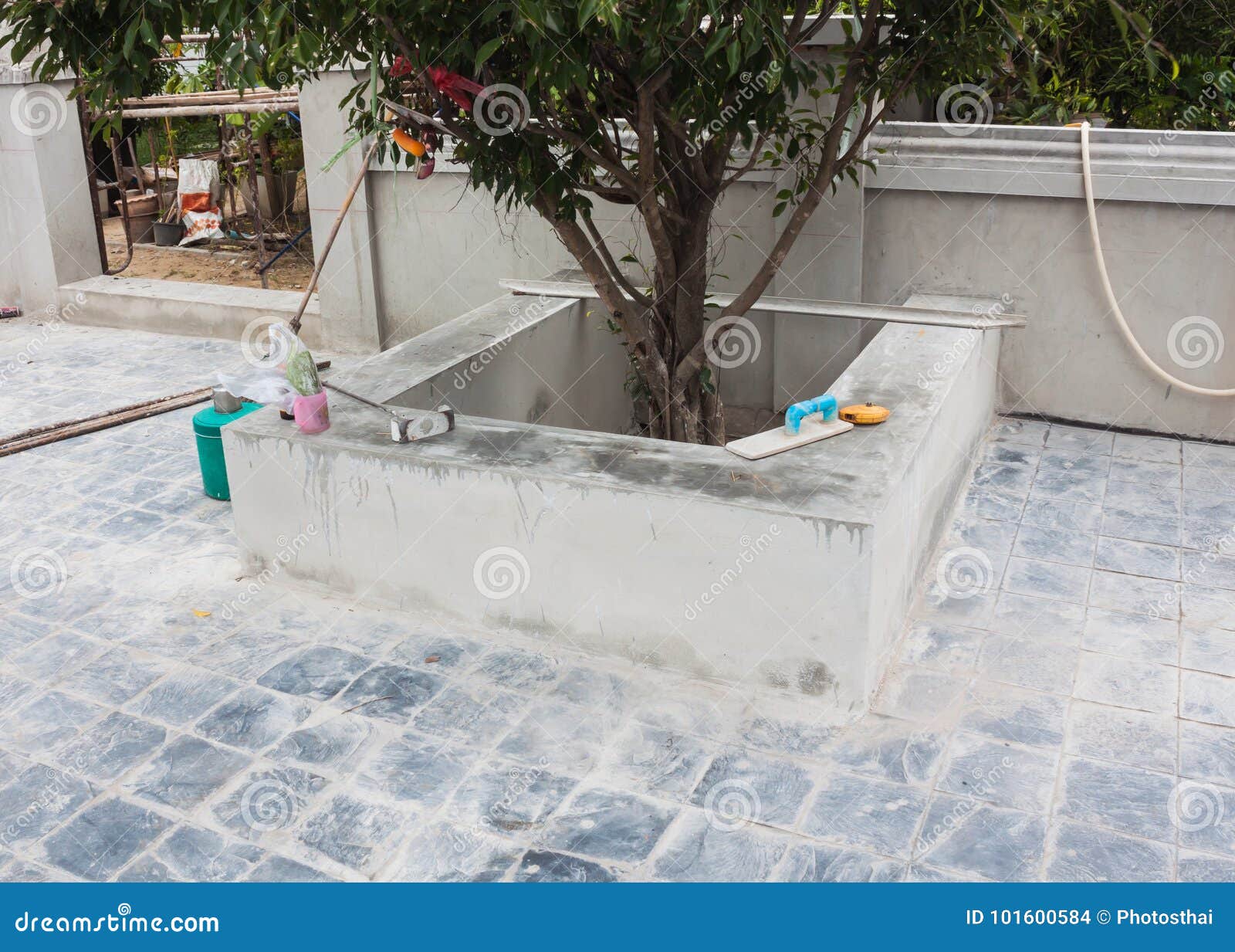 Concrete Box Around the Green Tree Stock Photo - Image of gray ...