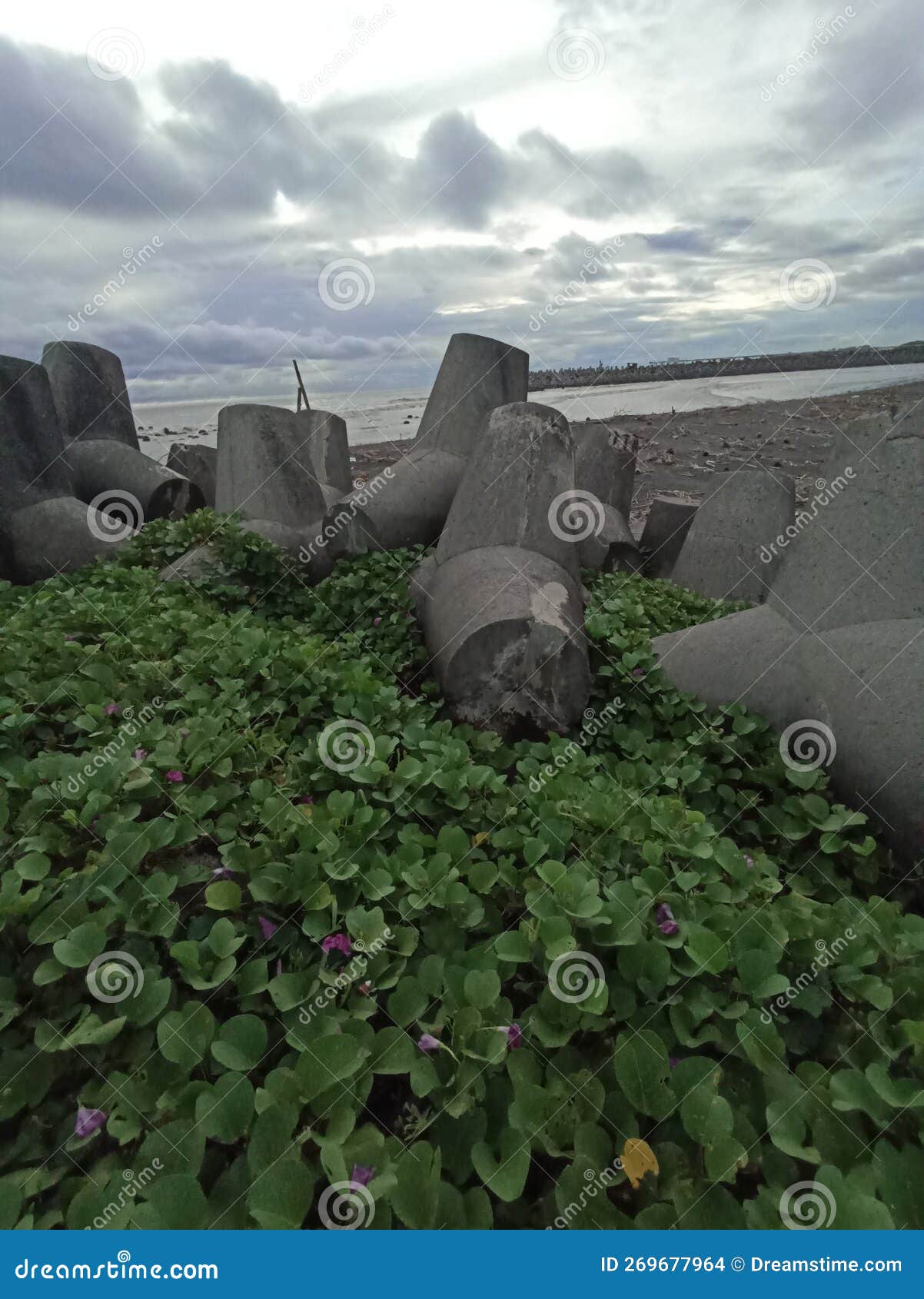 Concrete Breakwater in the Indian Ocean Stock Photo - Image of concrete ...