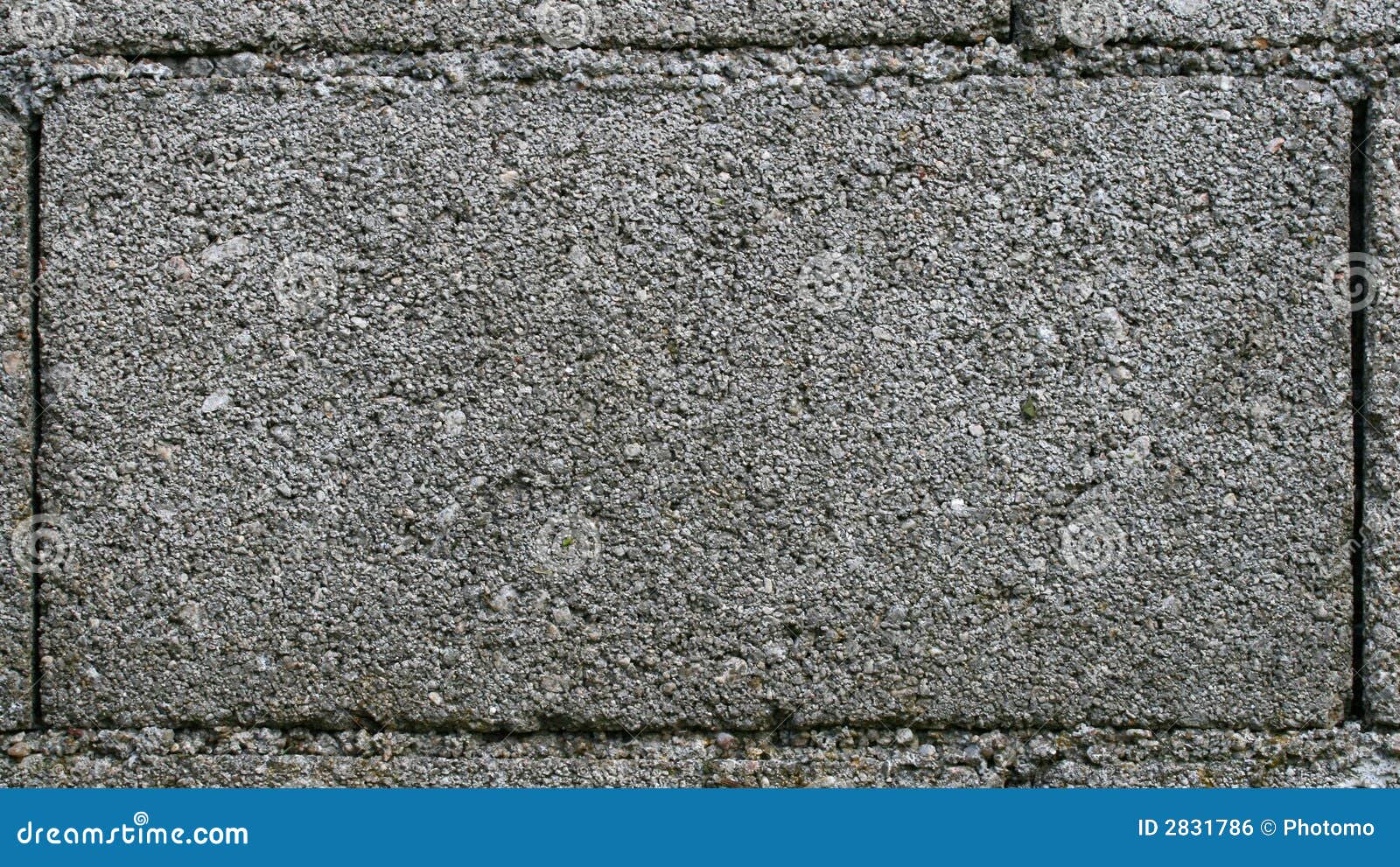 Concrete brick texture stock photo. Image of wall, grey - 2831786