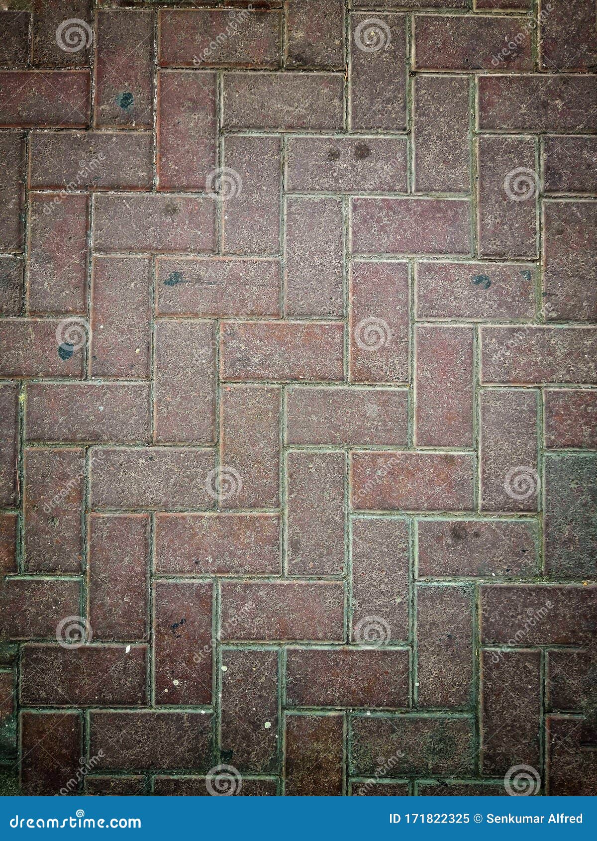 Concrete Bricks Textures stock image. Image of dirty - 171822325