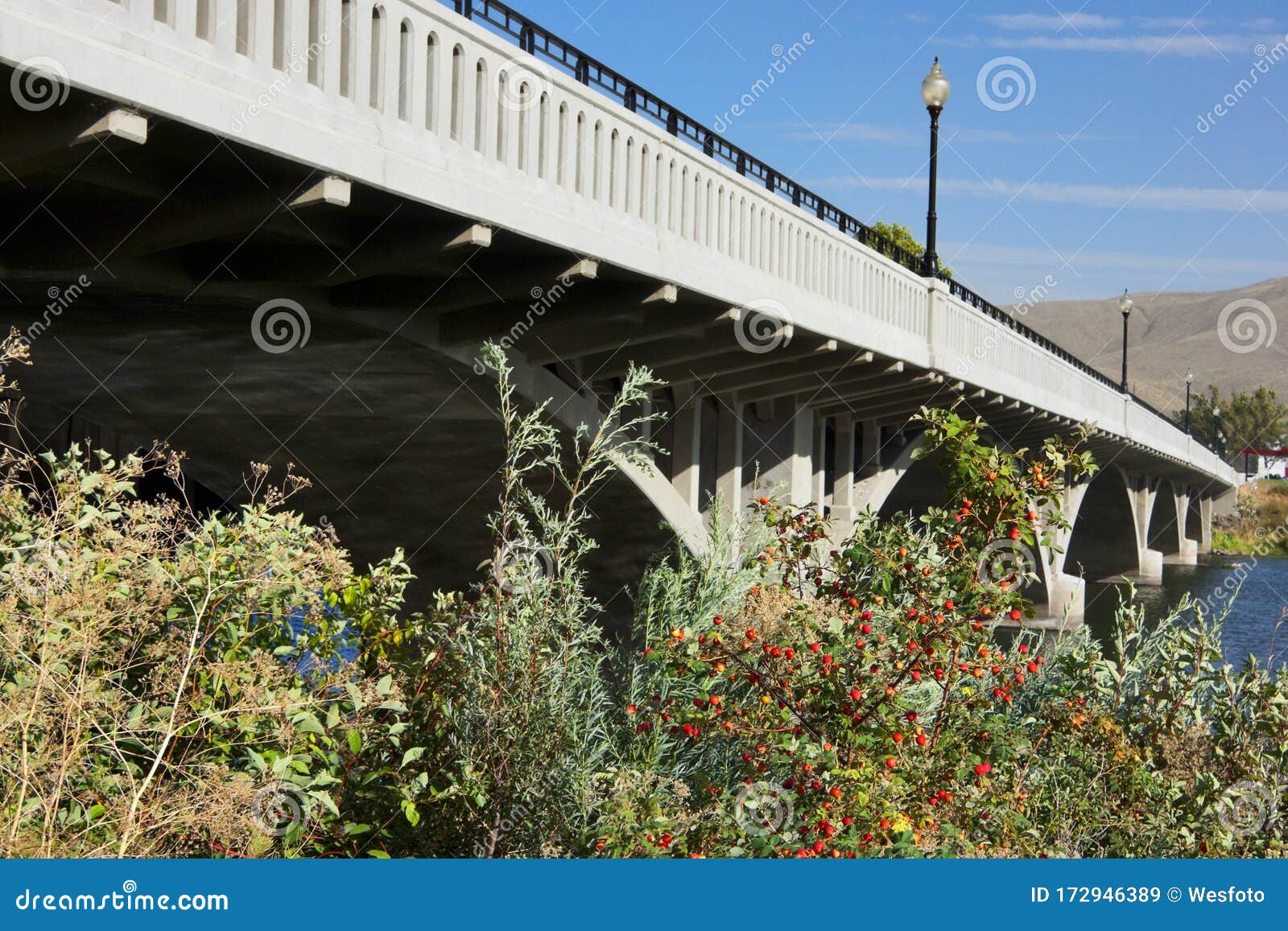 Concrete Arch Bridge stock image. Image of water, foreground - 172946389