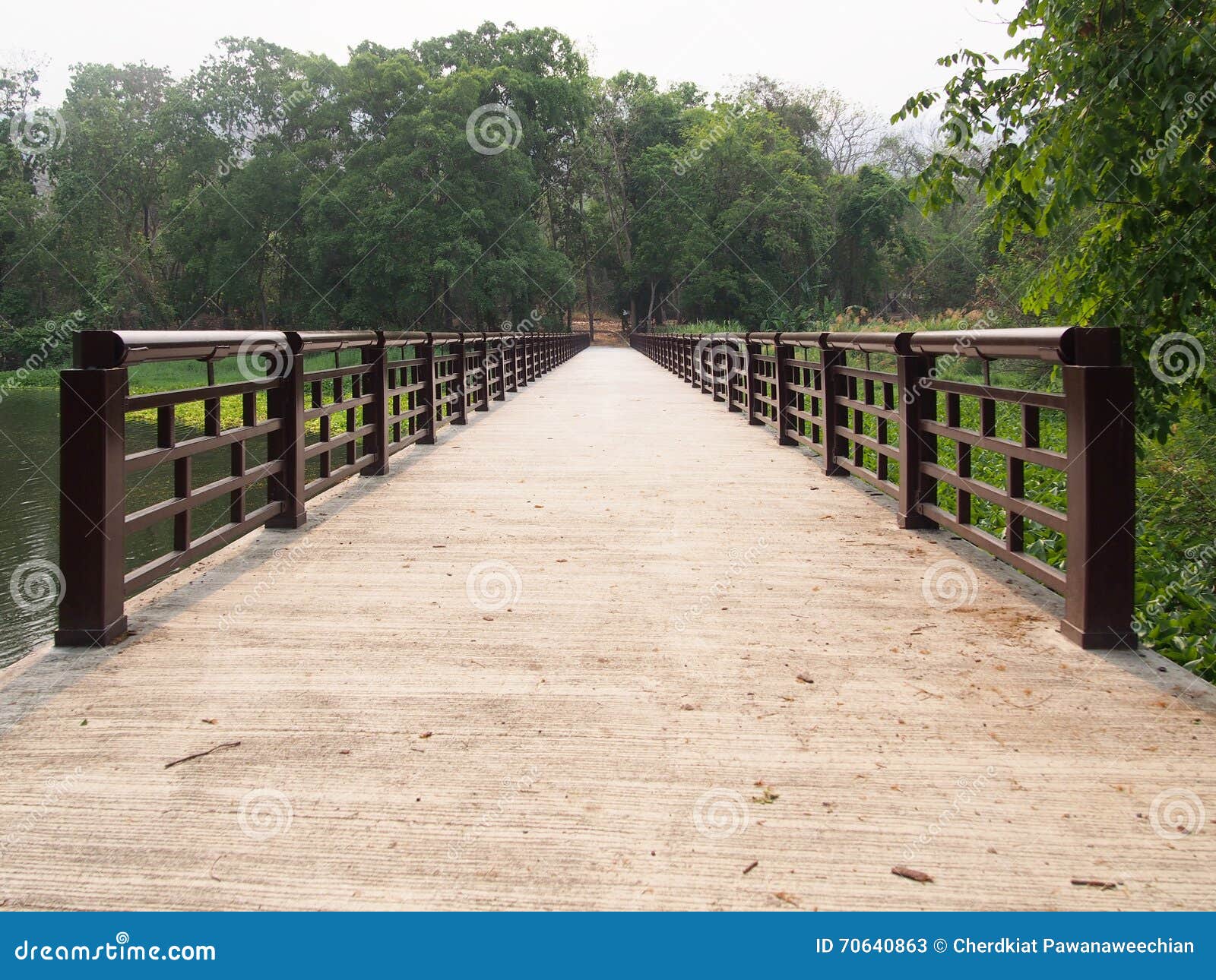 Concrete Bridge Across the River, Perspective View Stock Image - Image ...