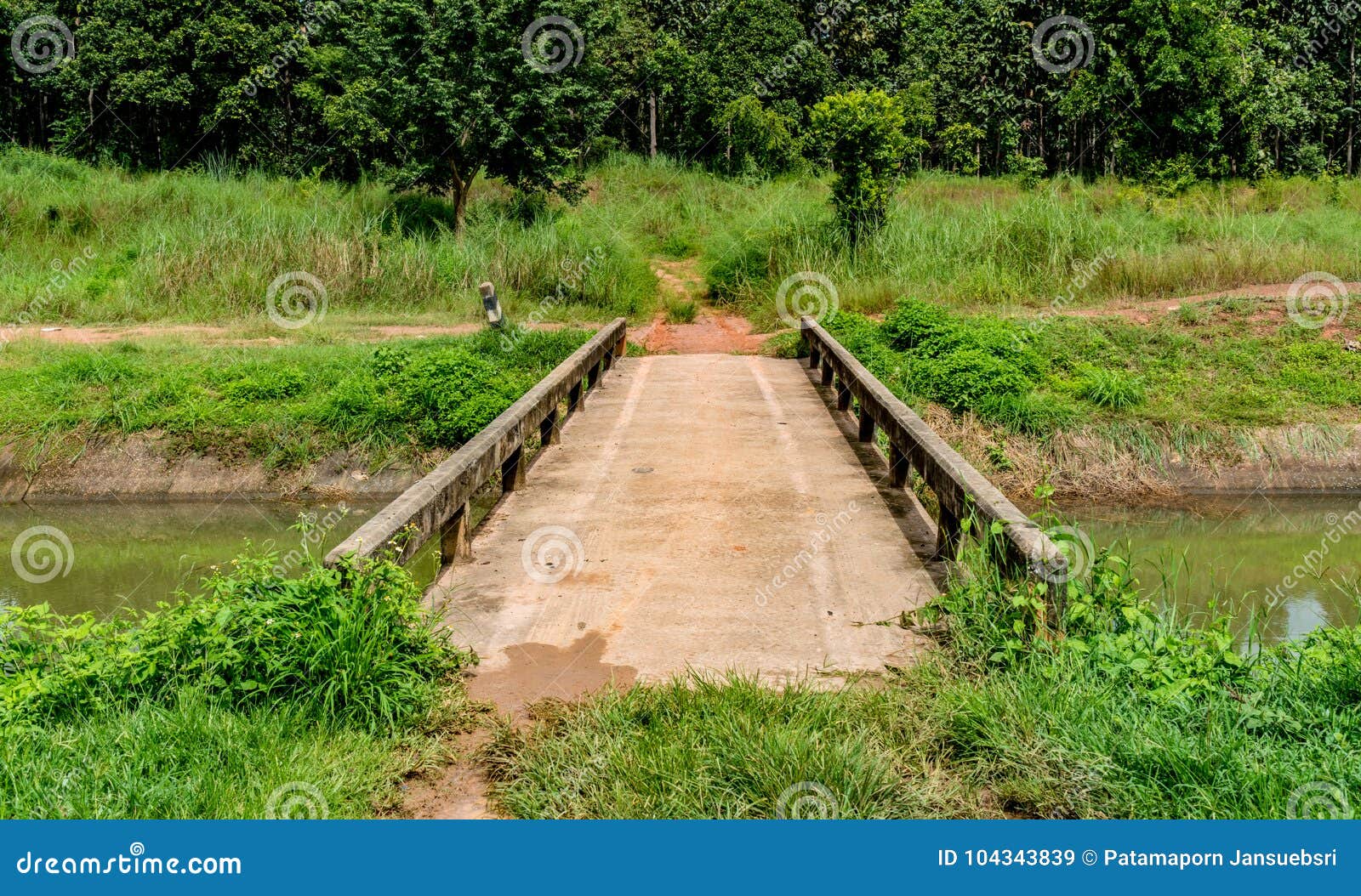 Concrete Bridge in Countryside Stock Image - Image of tree, path: 104343839