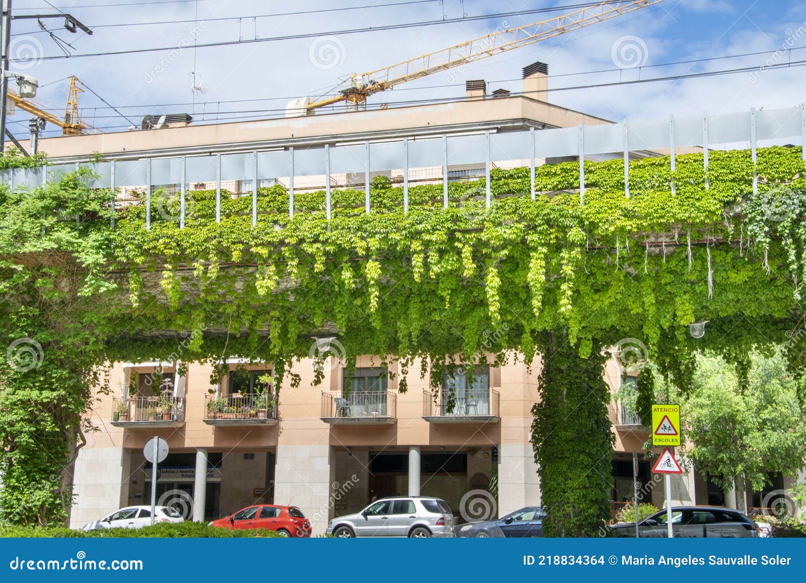 Bridge with ivy hanging. editorial stock image. Image of spain - 218834364