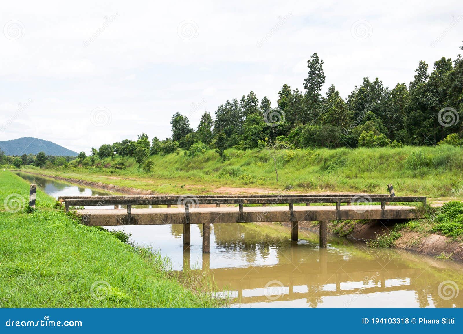 Concrete Bridge and Irrigation Canal with Tree Background Stock Photo ...