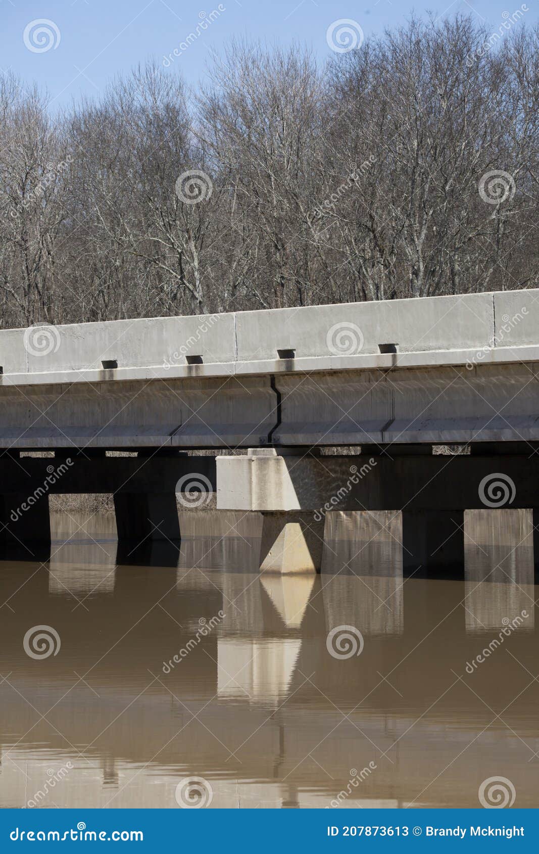 Concrete Bridge through Swamp Water Stock Image - Image of motorway ...