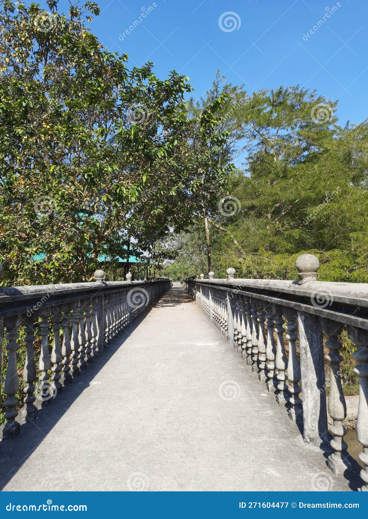 Concrete Build Walk Bridge Surrounded with Trees Stock Image - Image of ...