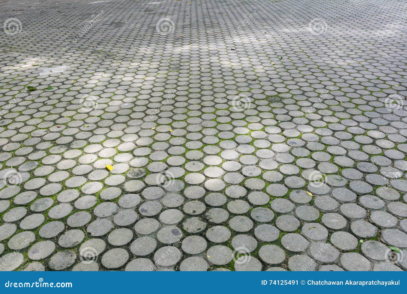 Concrete, Cement Block Floor of Pathway at Park Stock Image - Image of ...