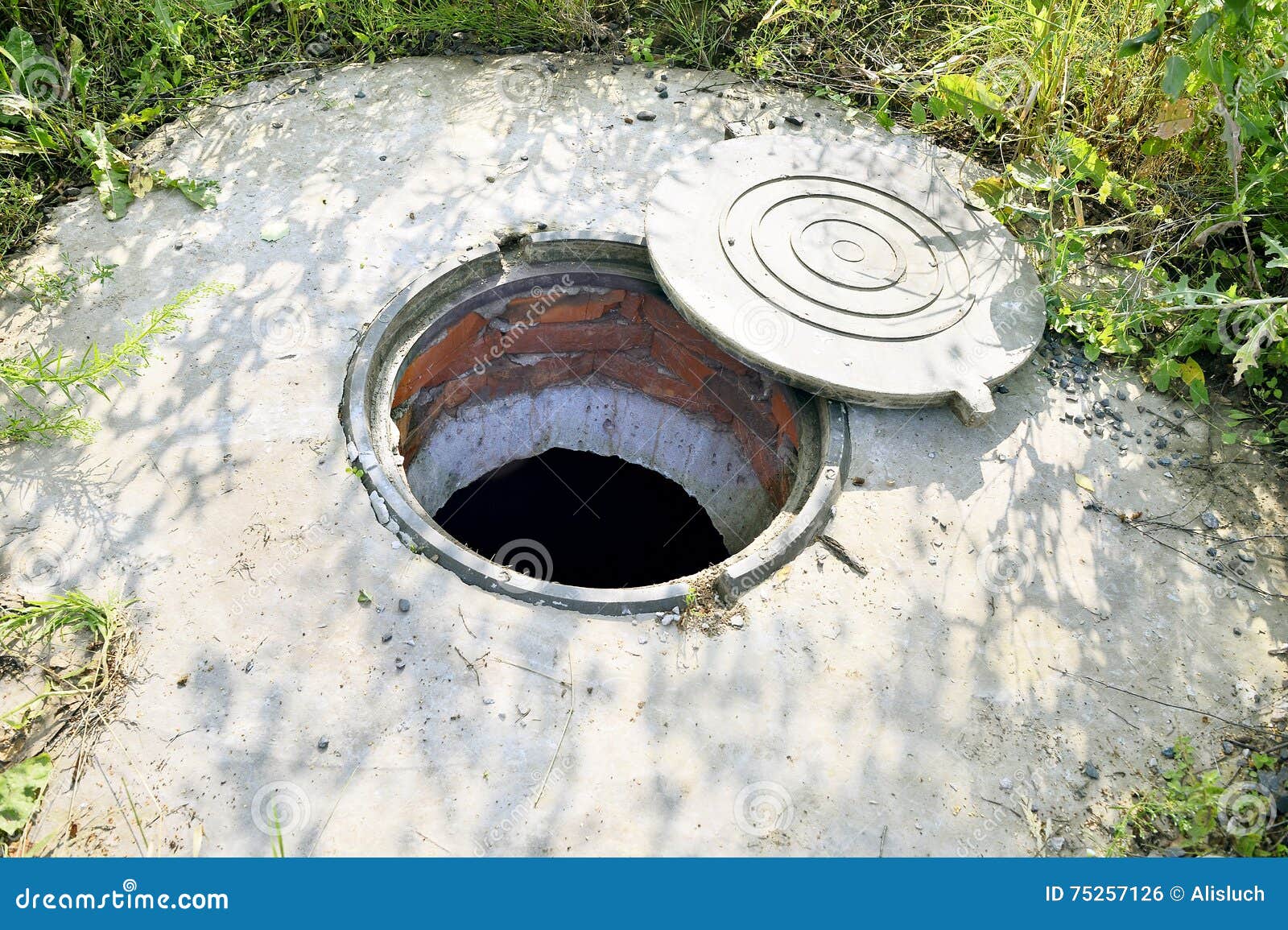 Concrete Cesspit with an Open Hatch on the Ground in the Summer Stock ...