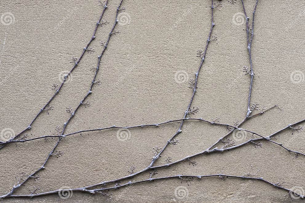Concrete Climber stock image. Image of wall, pattern - 20329493