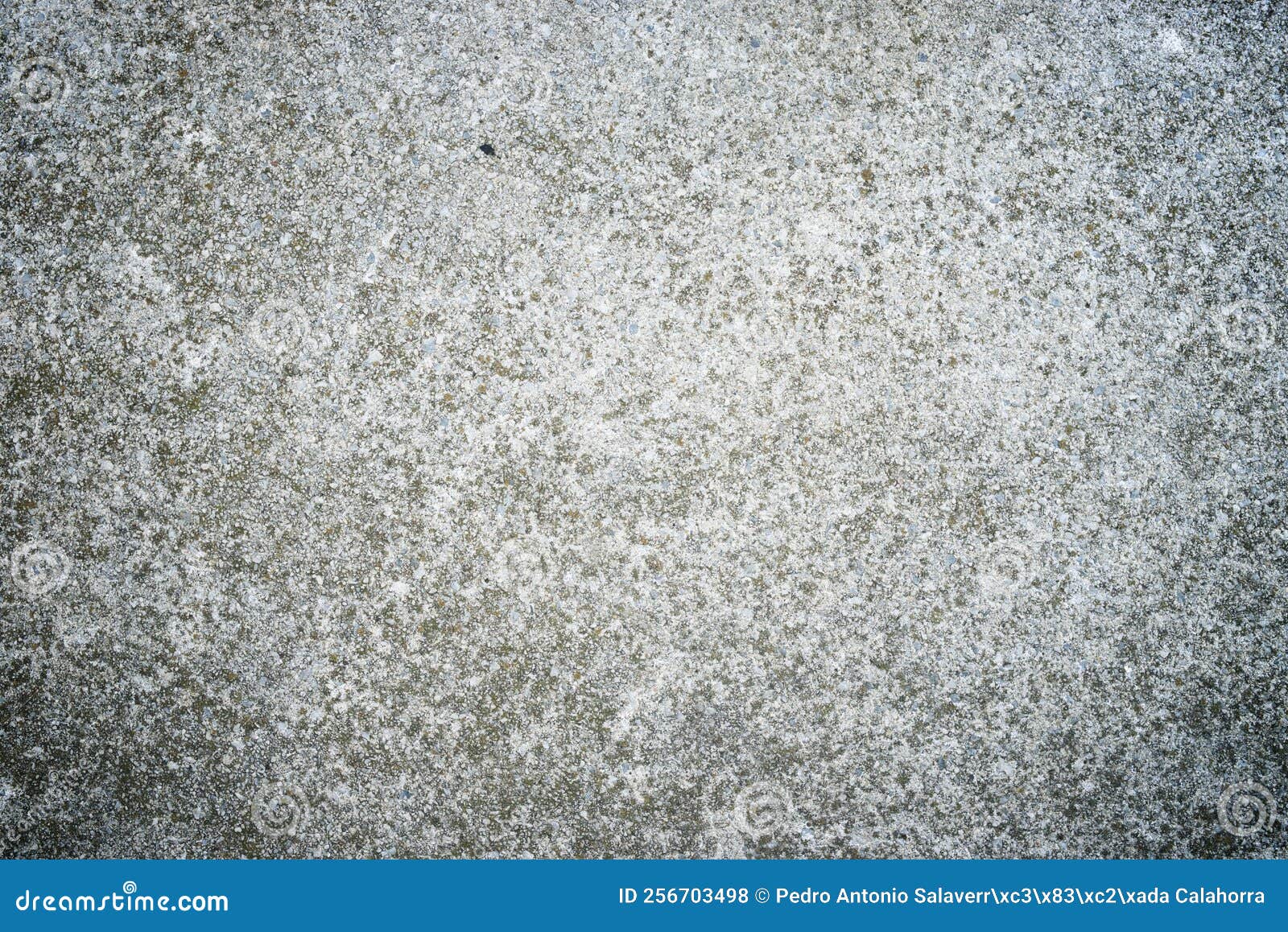 Concrete close up stock photo. Image of bark, brown - 256703498