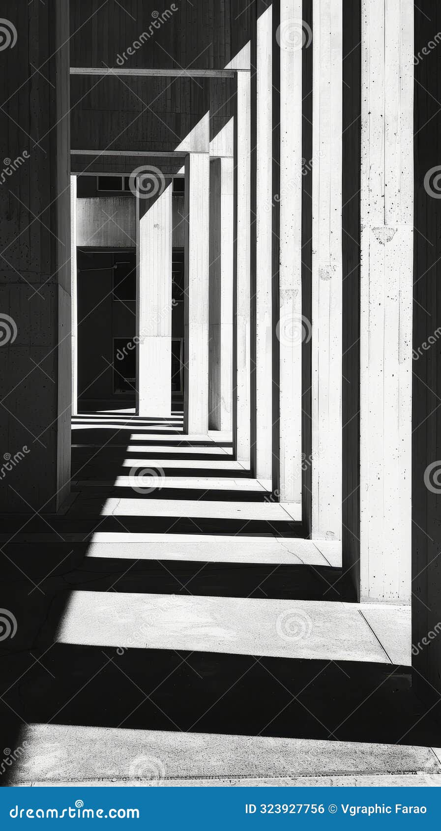 Concrete Columns Casting Shadows in Architectural Space Stock Photo ...