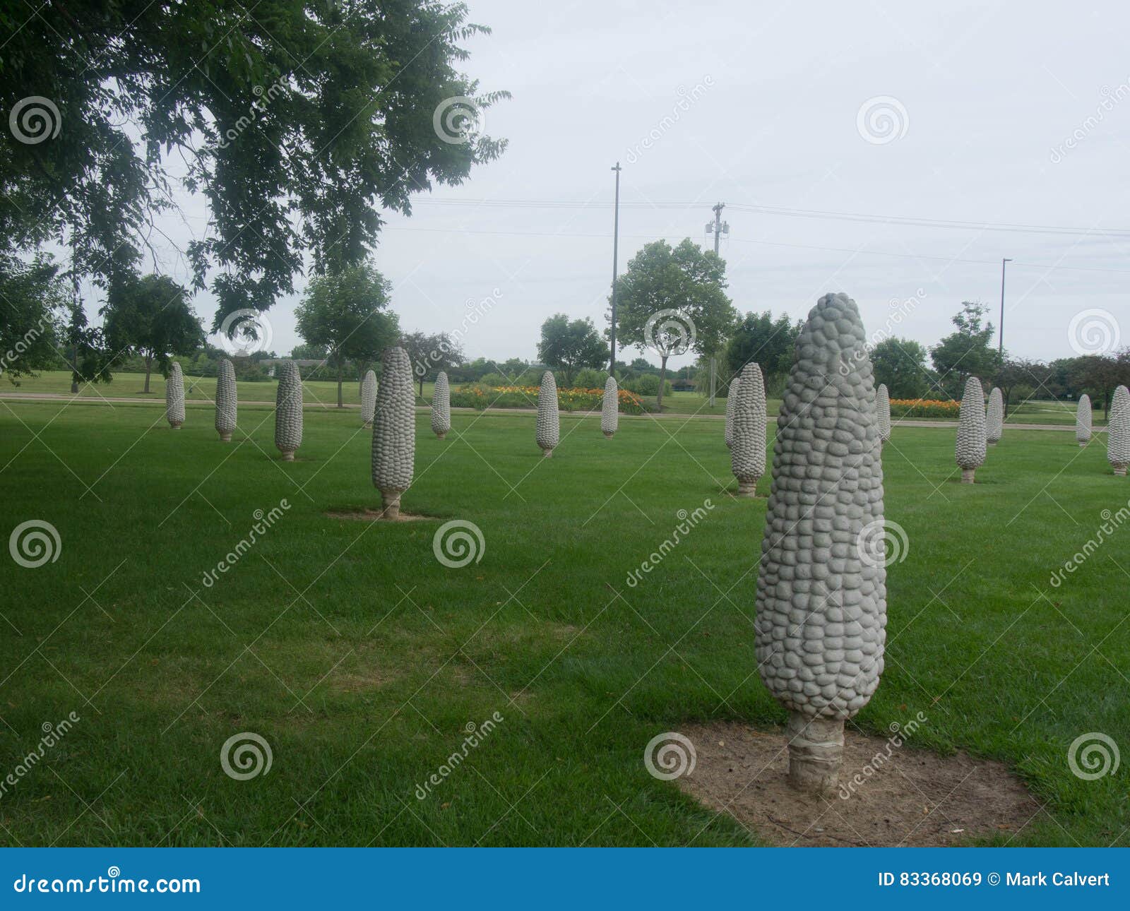 Concrete Corn Field stock image. Image of stop, council - 83368069