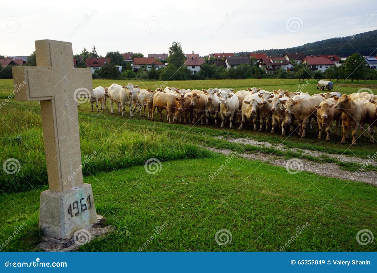 Concrete cross stock image. Image of farm, domestic, livestock - 65353049