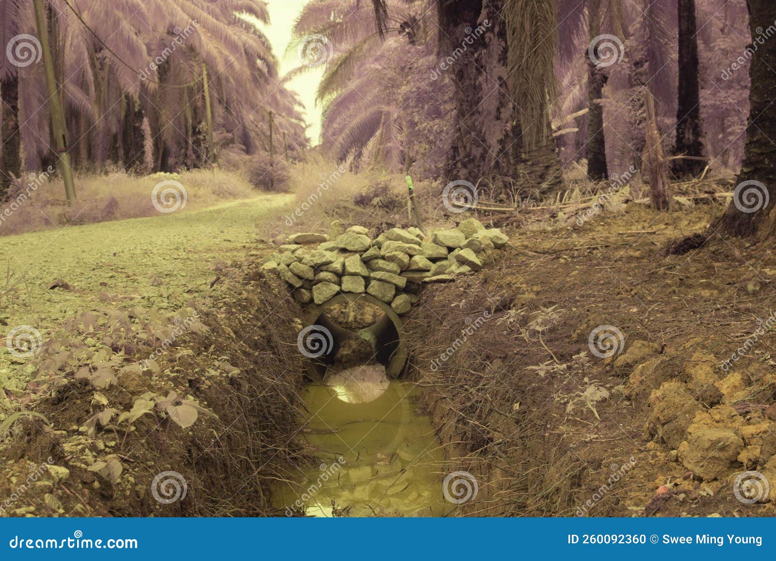 The Concrete Cylindrical Drain at the Countryside Farm Stock Photo ... The Concrete Cylindrical Drain at the Countryside Farm Stock Photo ...