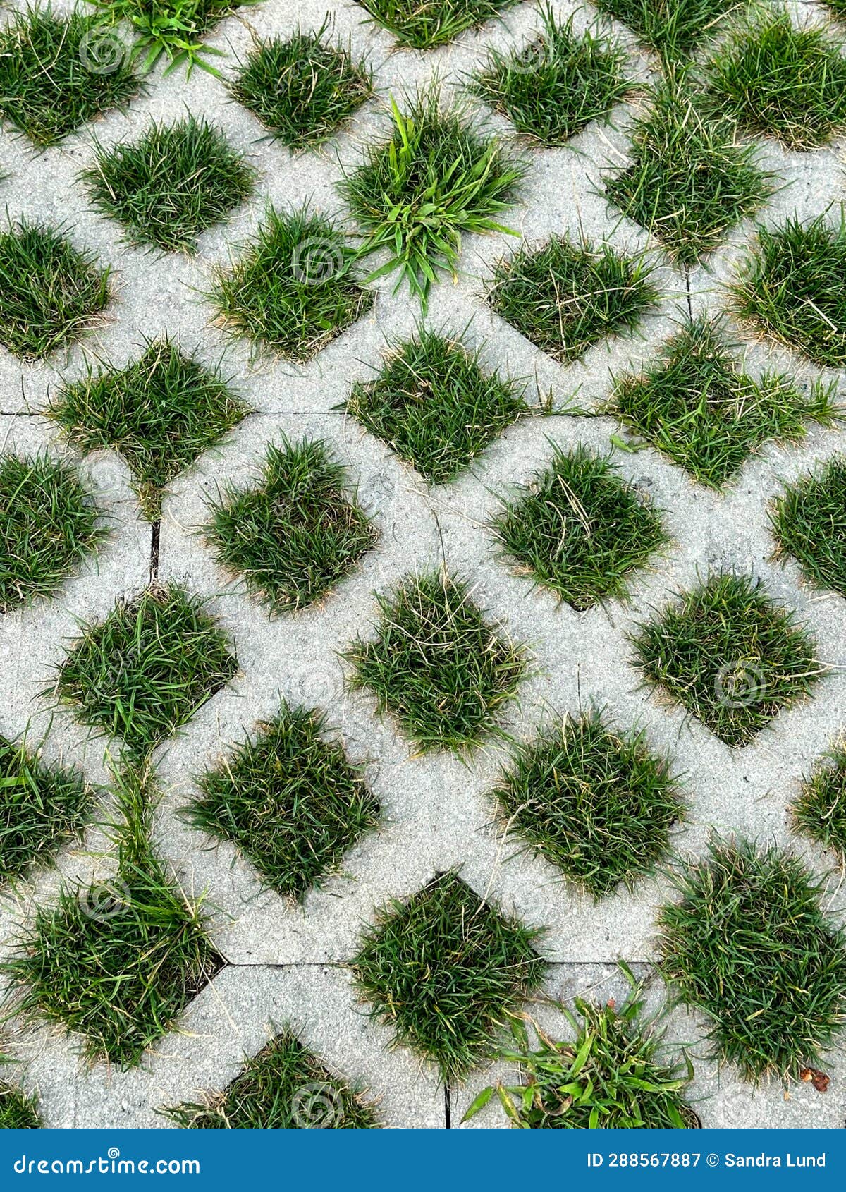 Concrete Diamond Shapes with Grass Growing in Them Stock Image - Image ...