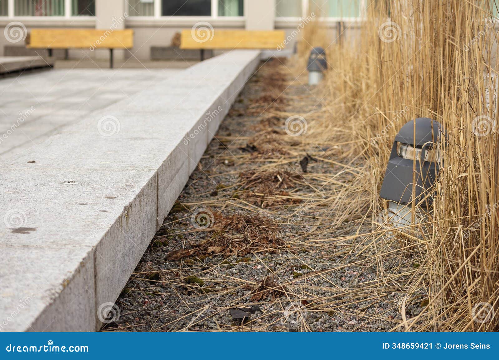 .a Concrete Edge Like a Park Bench Stock Image - Image of wooden, color ...