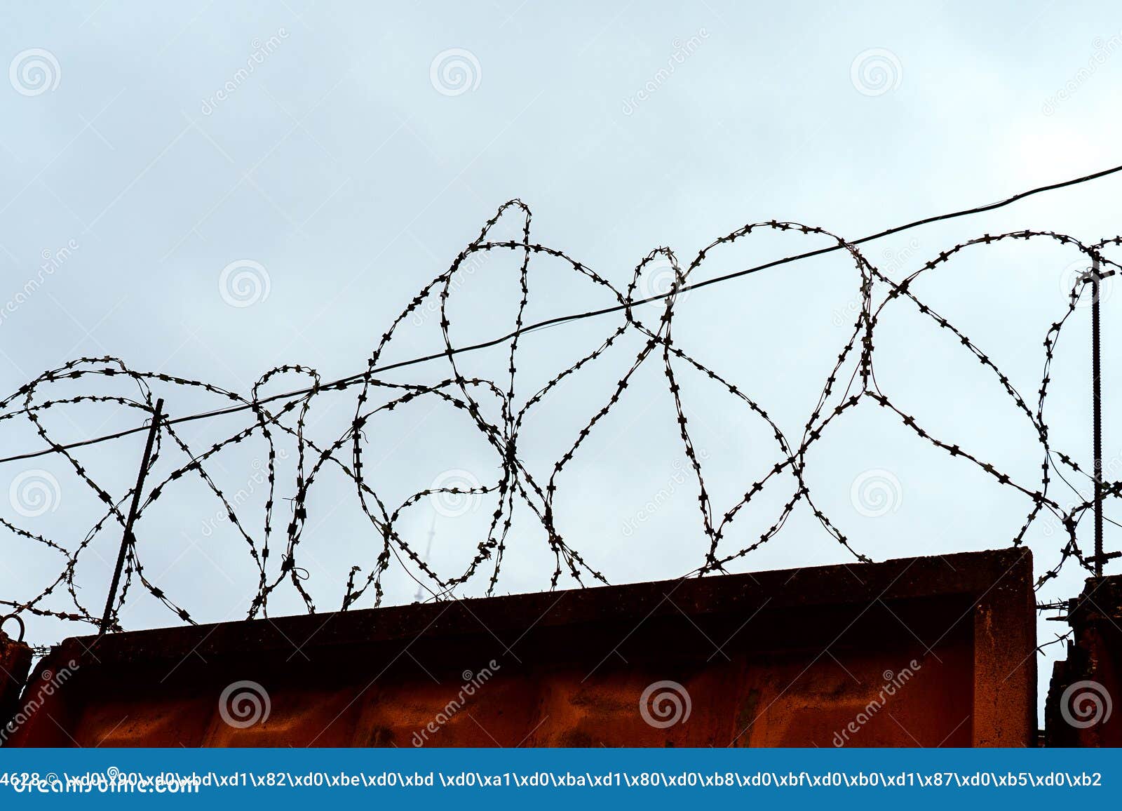 Concrete Fence with Barbed Wire, Fence of the Protected Object, Stock ...