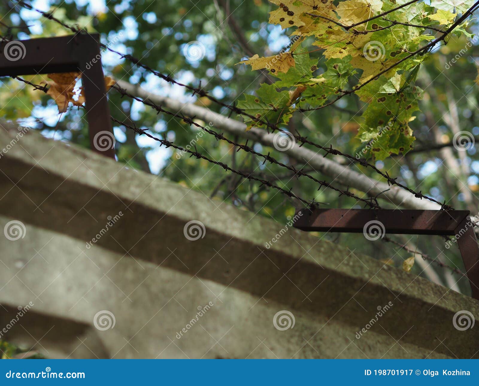 Concrete Fence with Barbed Wire on Top of the Fence. Stock Image ...
